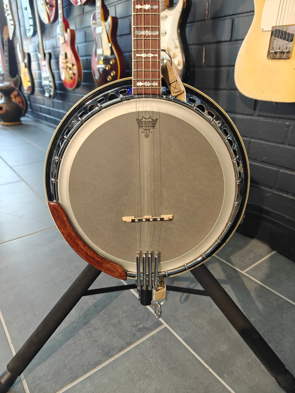 Fender Artist Plectrum Banjo 4-String 1970s – Tonefest Guitar Gallery